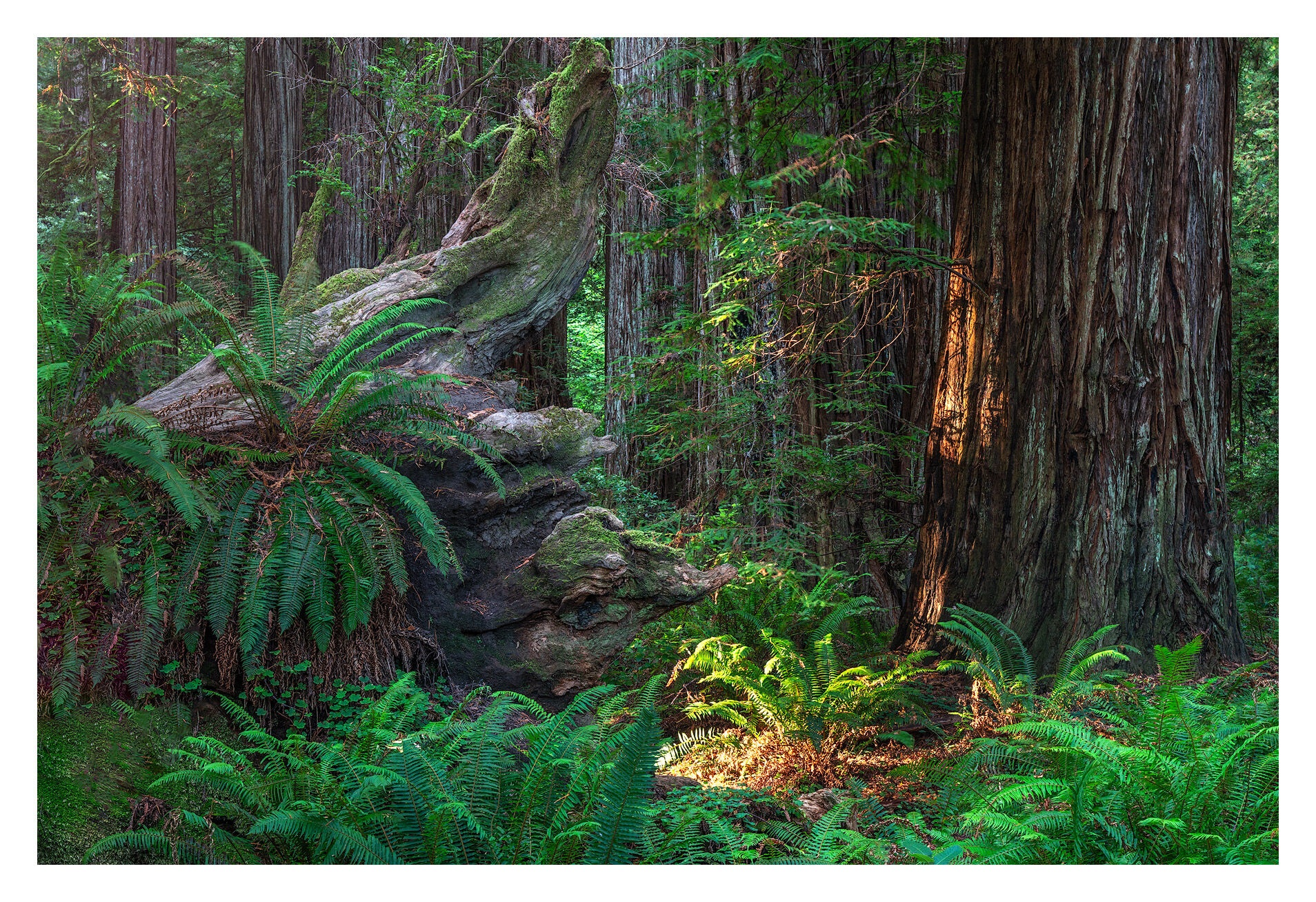 Wonders of the Oregon Coast Photography Workshop | Joseph Rossbach ...