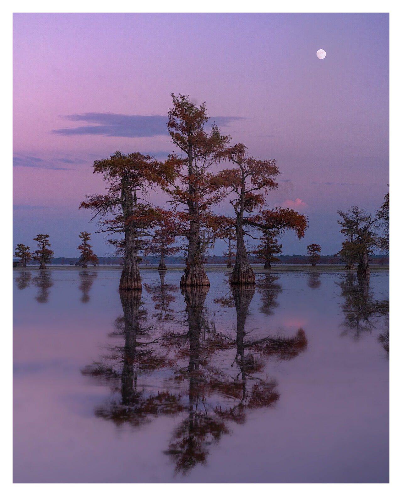 Moonset on the Bayou | Big Cypress Bayou, Texas | Joseph Rossbach ...